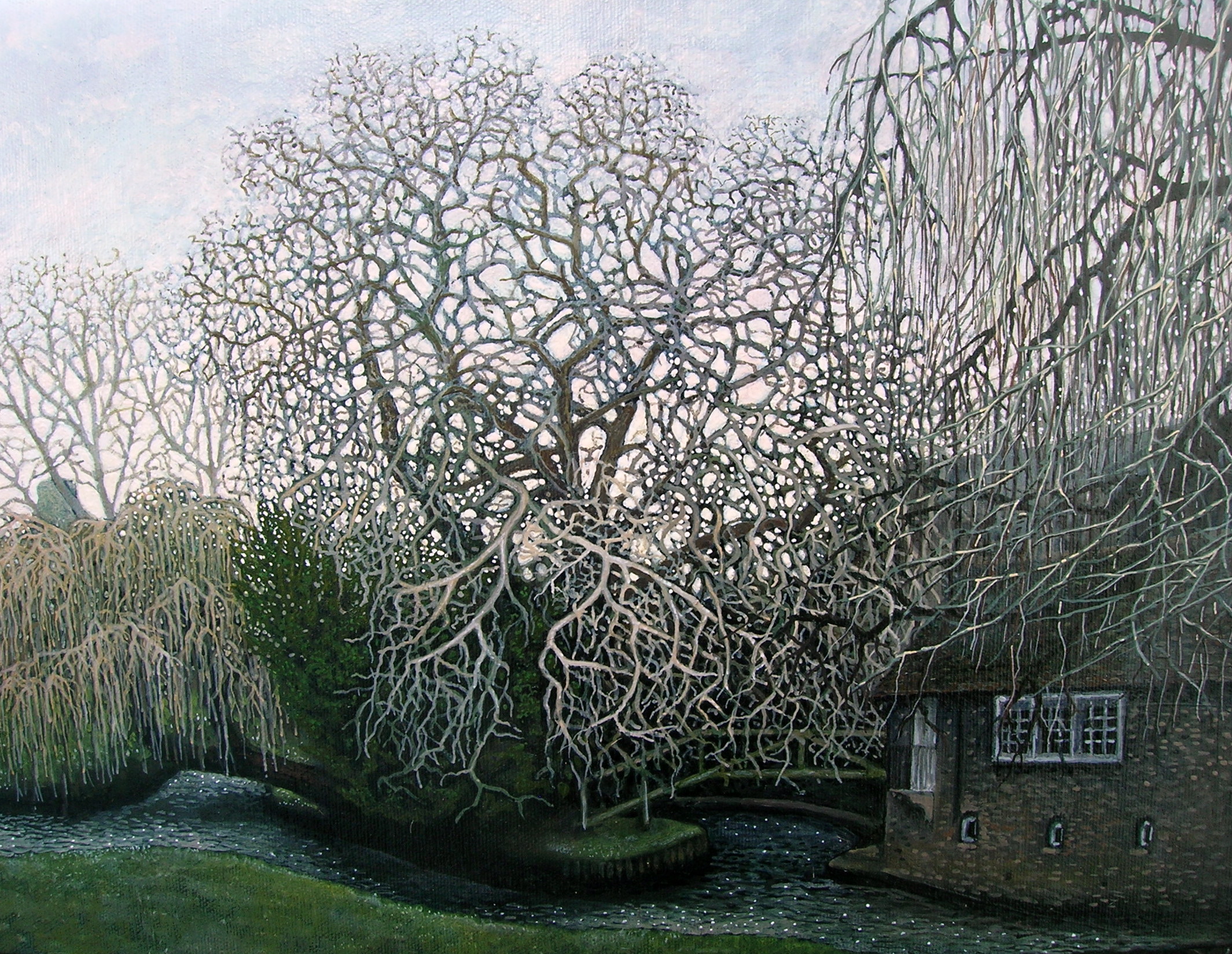 Neil Warmsley – Visual Artist
